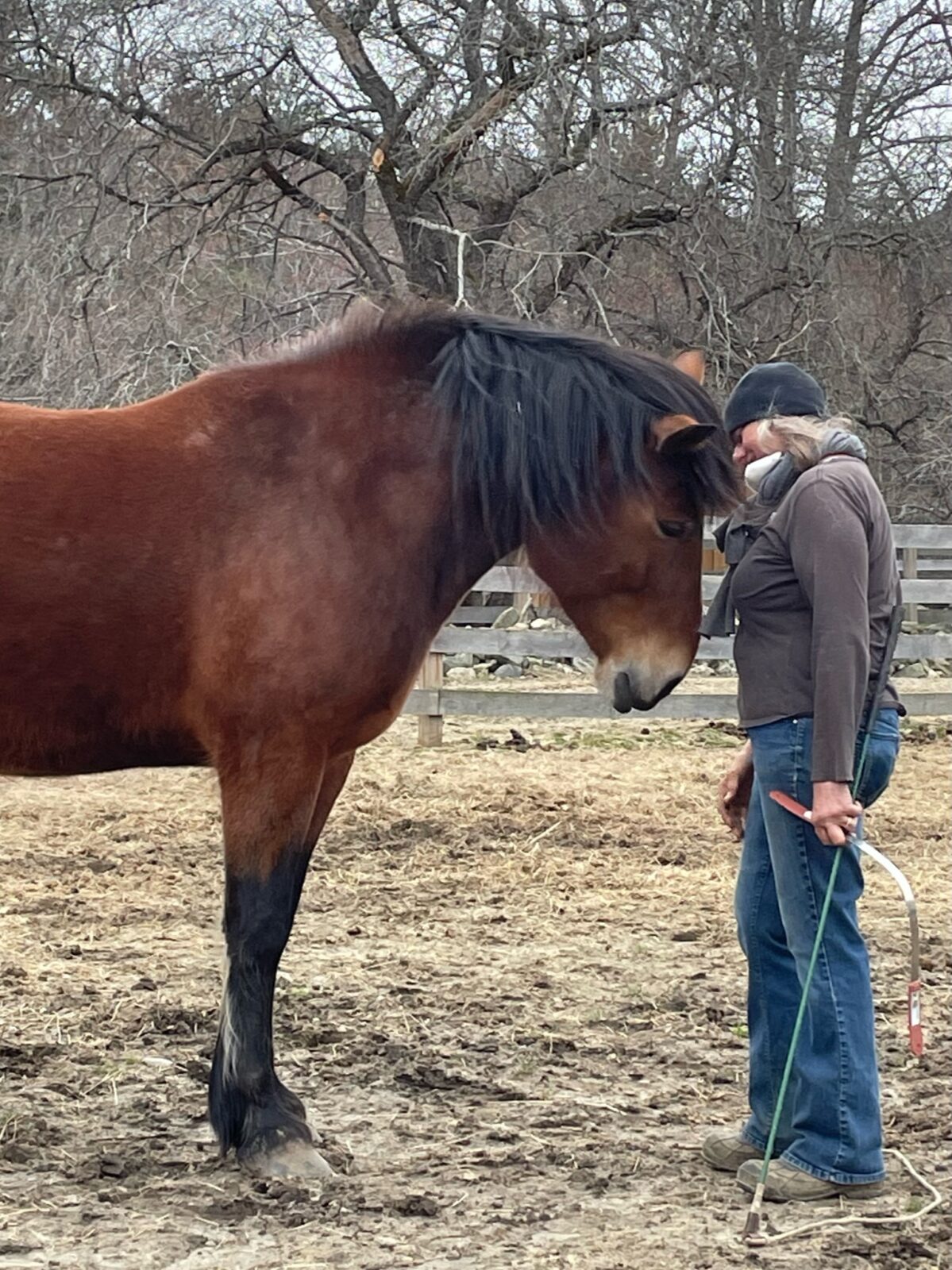 Meet the Board | Tomten Farm and Sanctuary