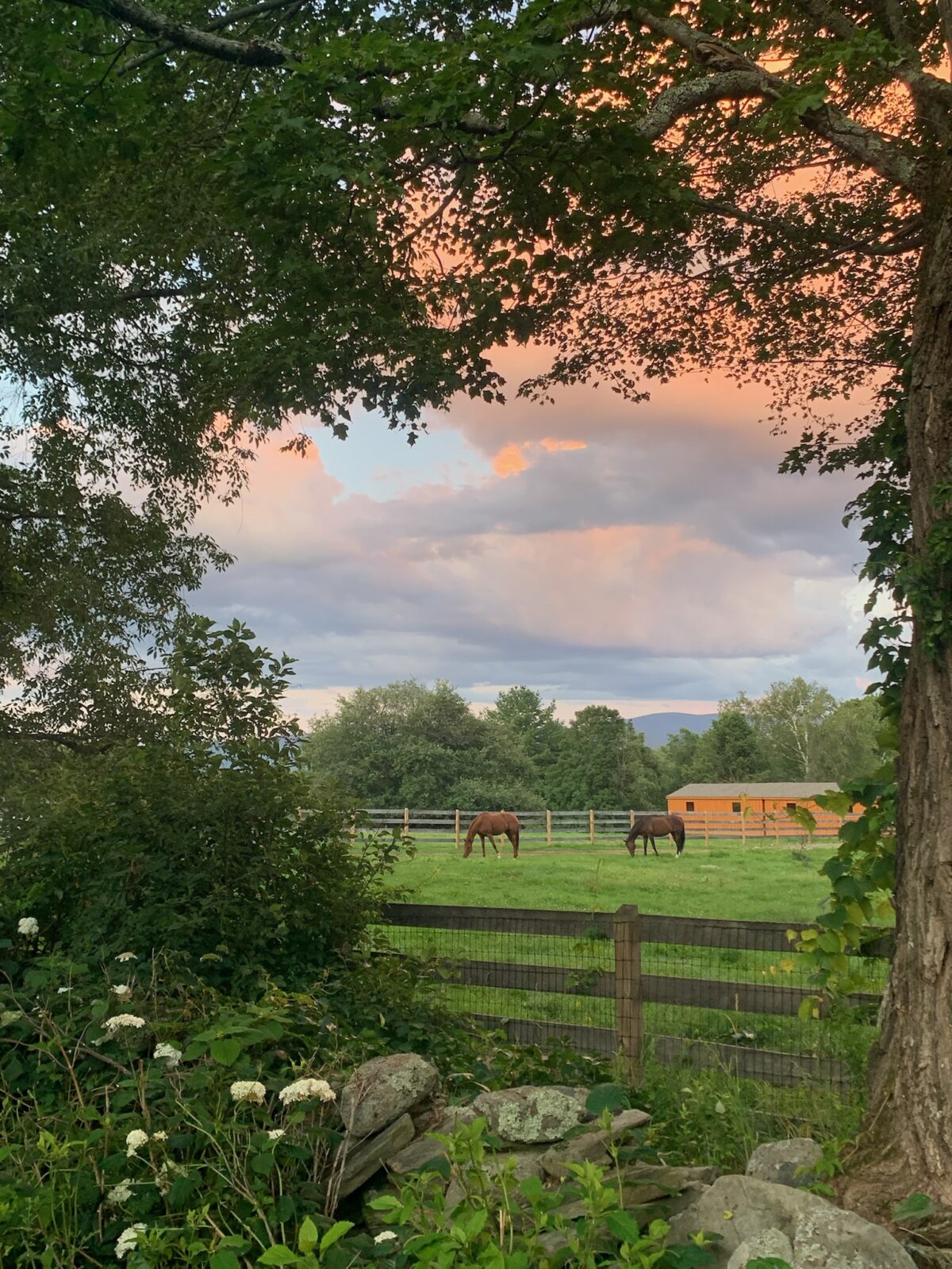 Contribute | Tomten Farm and Sanctuary