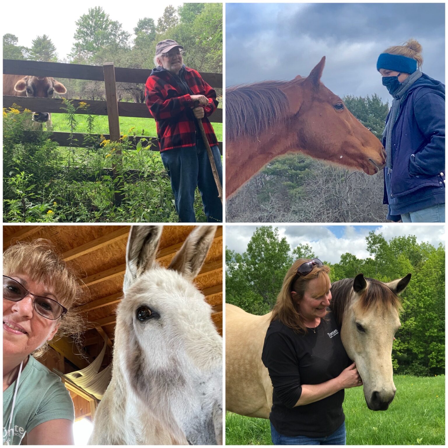 Visit | Tomten Farm and Sanctuary