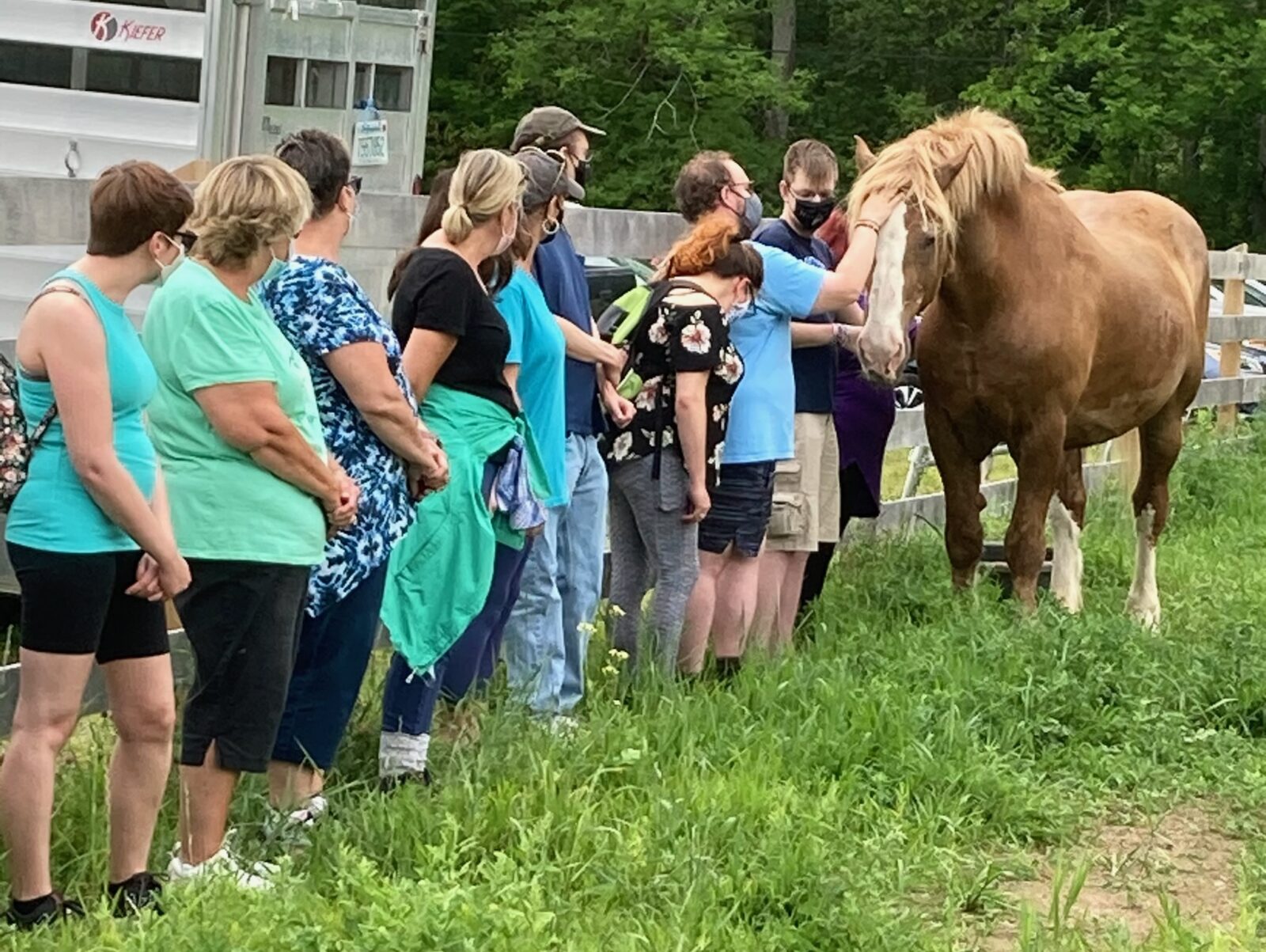 Visit | Tomten Farm and Sanctuary