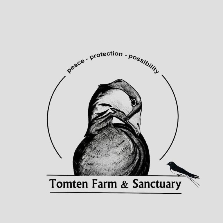 Equines - Tomten Farm and Sanctuary
